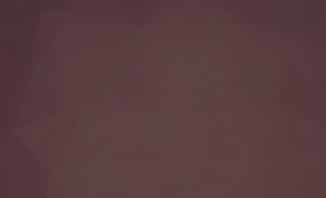 Velile-Tinto-Logos-conveyancing-2-bg - Velile Tinto